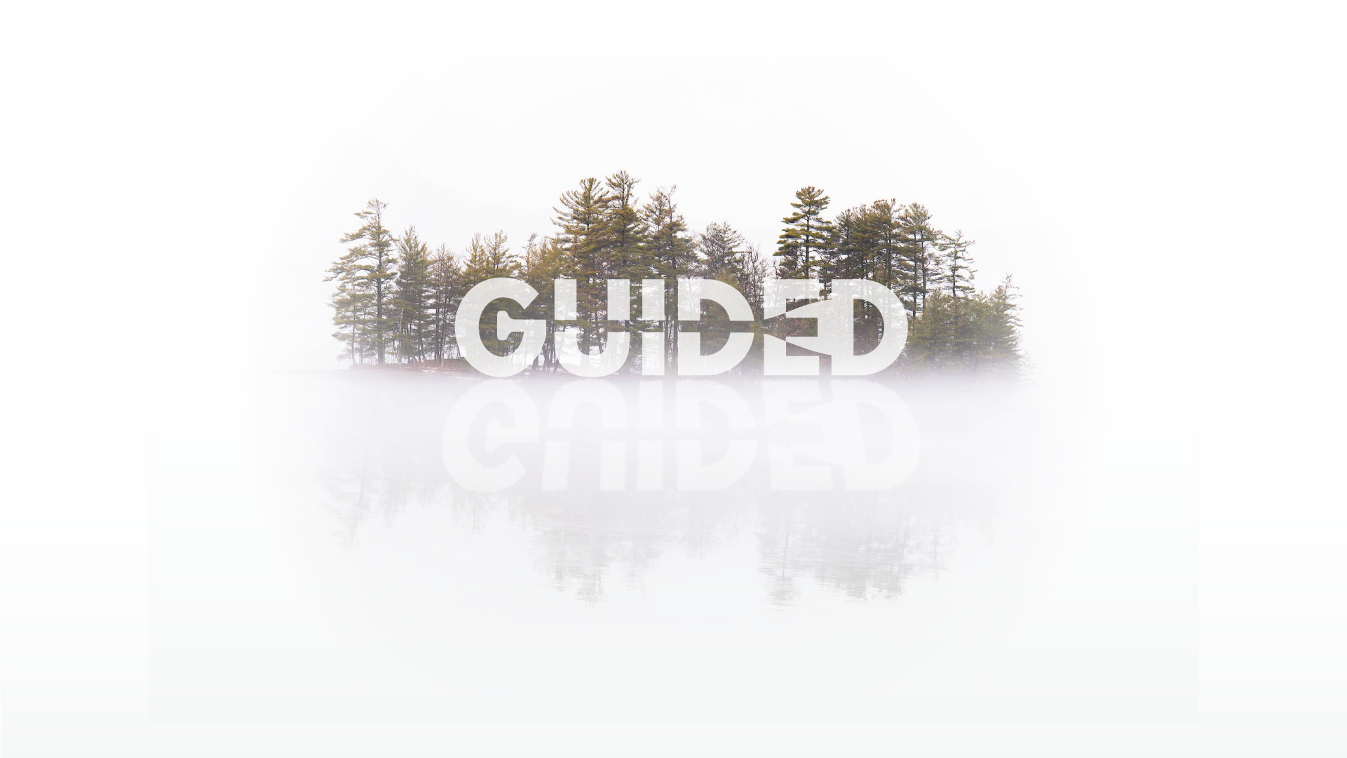 Services - Guided Marketing